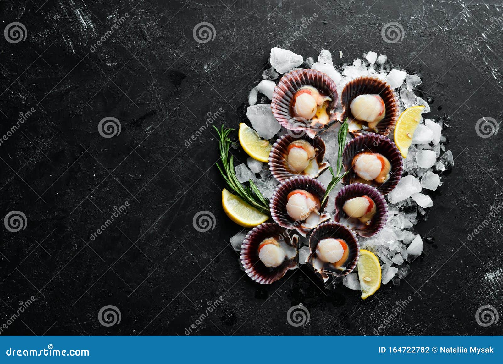 Scallops on Ice. Seafood. Top View Stock Photo - Image of cooking ...