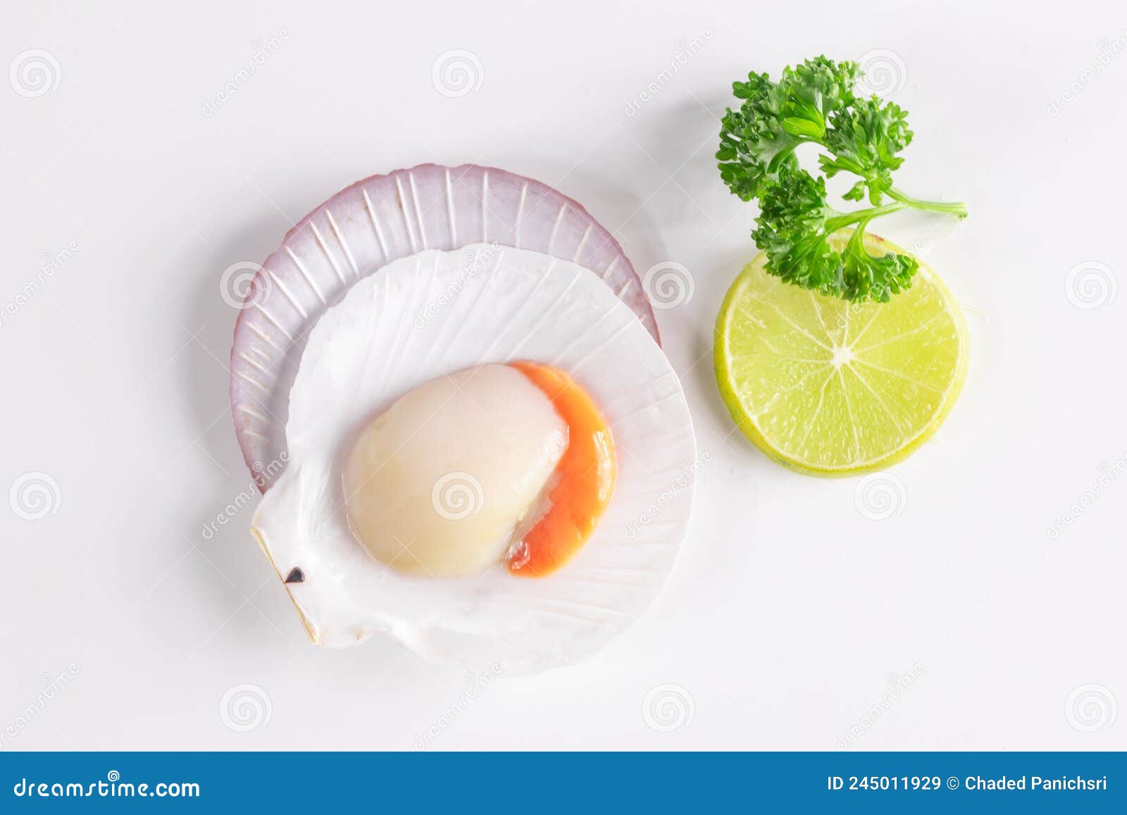 Scallops Isolated on a White Background Stock Image - Image of healthy ...