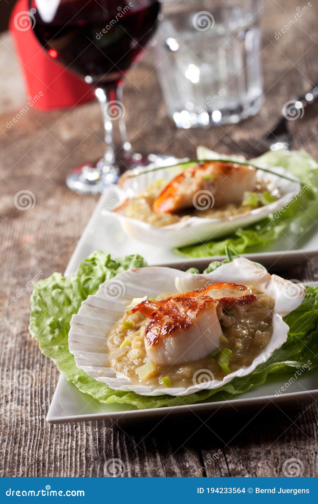 Scallops stock photo. Image of shellfish, wine, roasted - 194233564