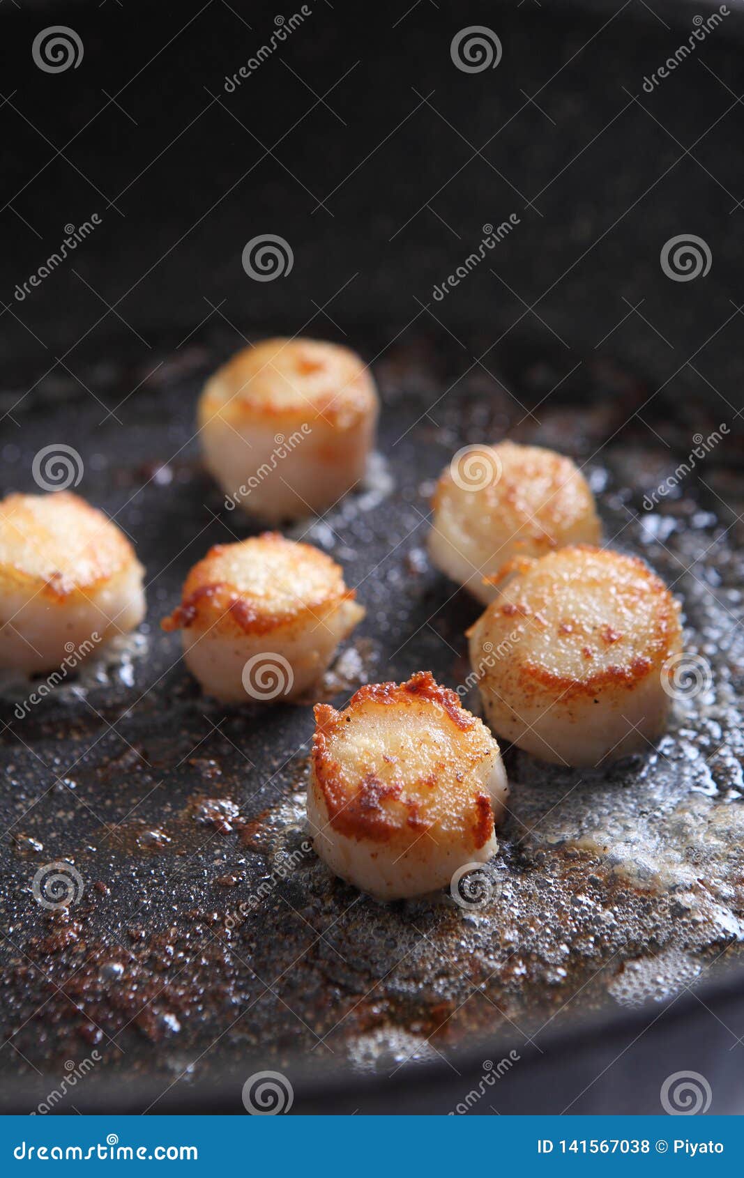 Scallops in pan stock photo. Image of fresh, green, cast - 141567038