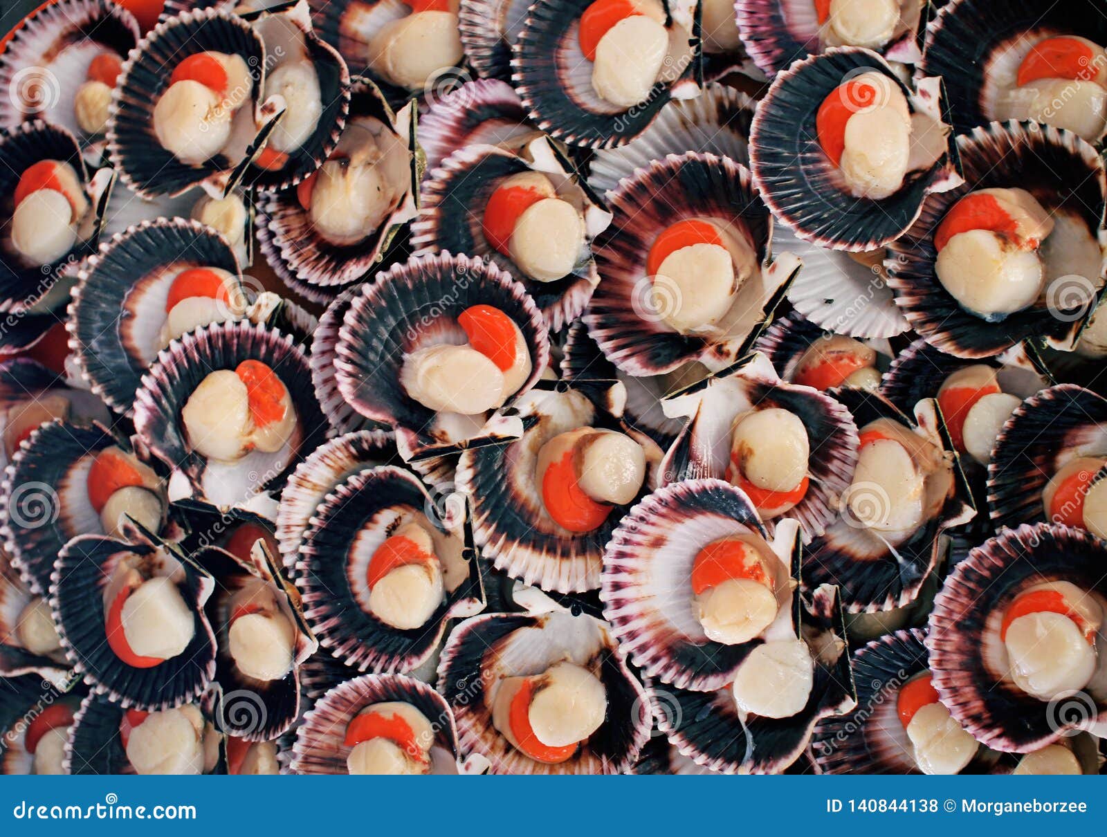 Scallops on Shell Background, Sea Food Concept Pattern Stock Photo ...