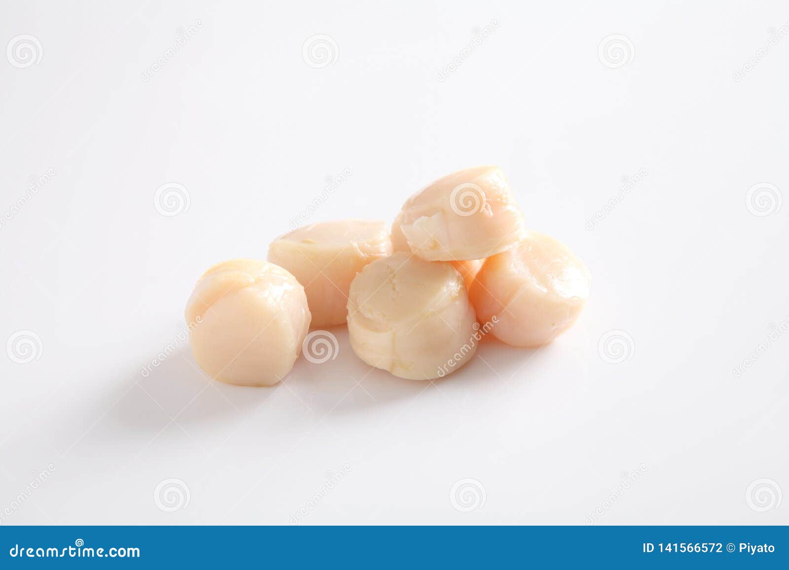 Scallops in White Background Stock Photo - Image of appetizing, seafood ...
