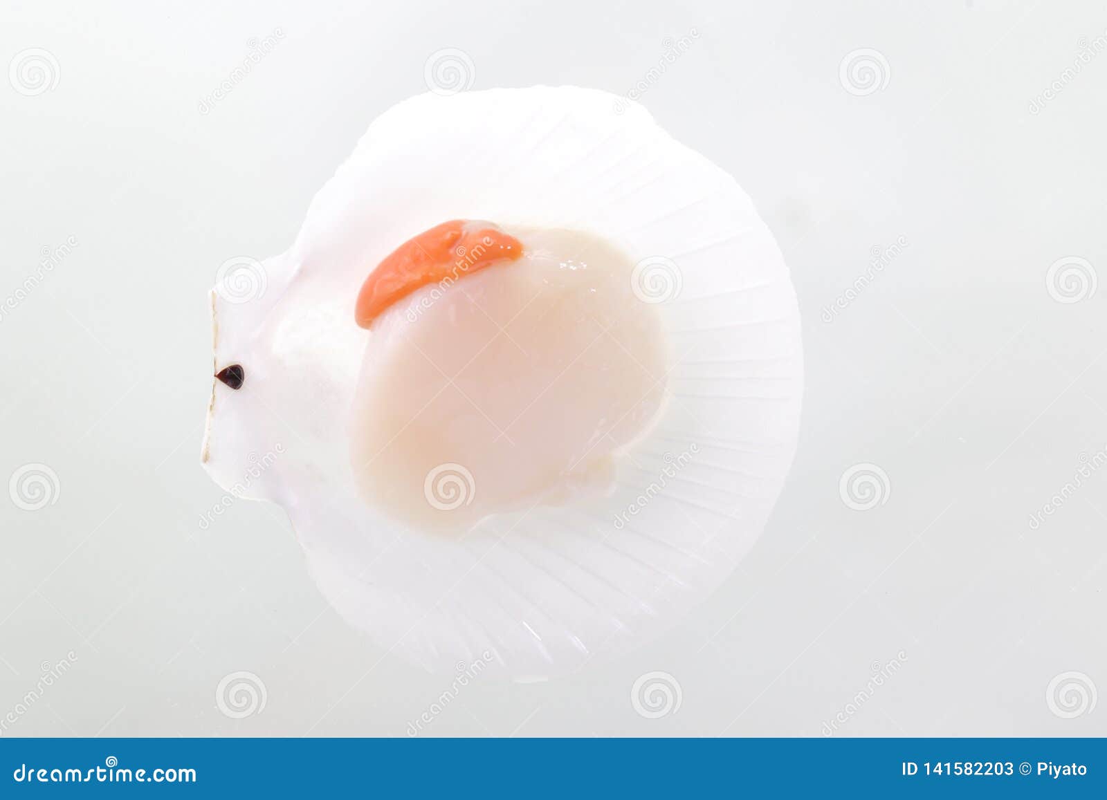 Scallops stock image. Image of cooking, prepared, pepper - 141582203