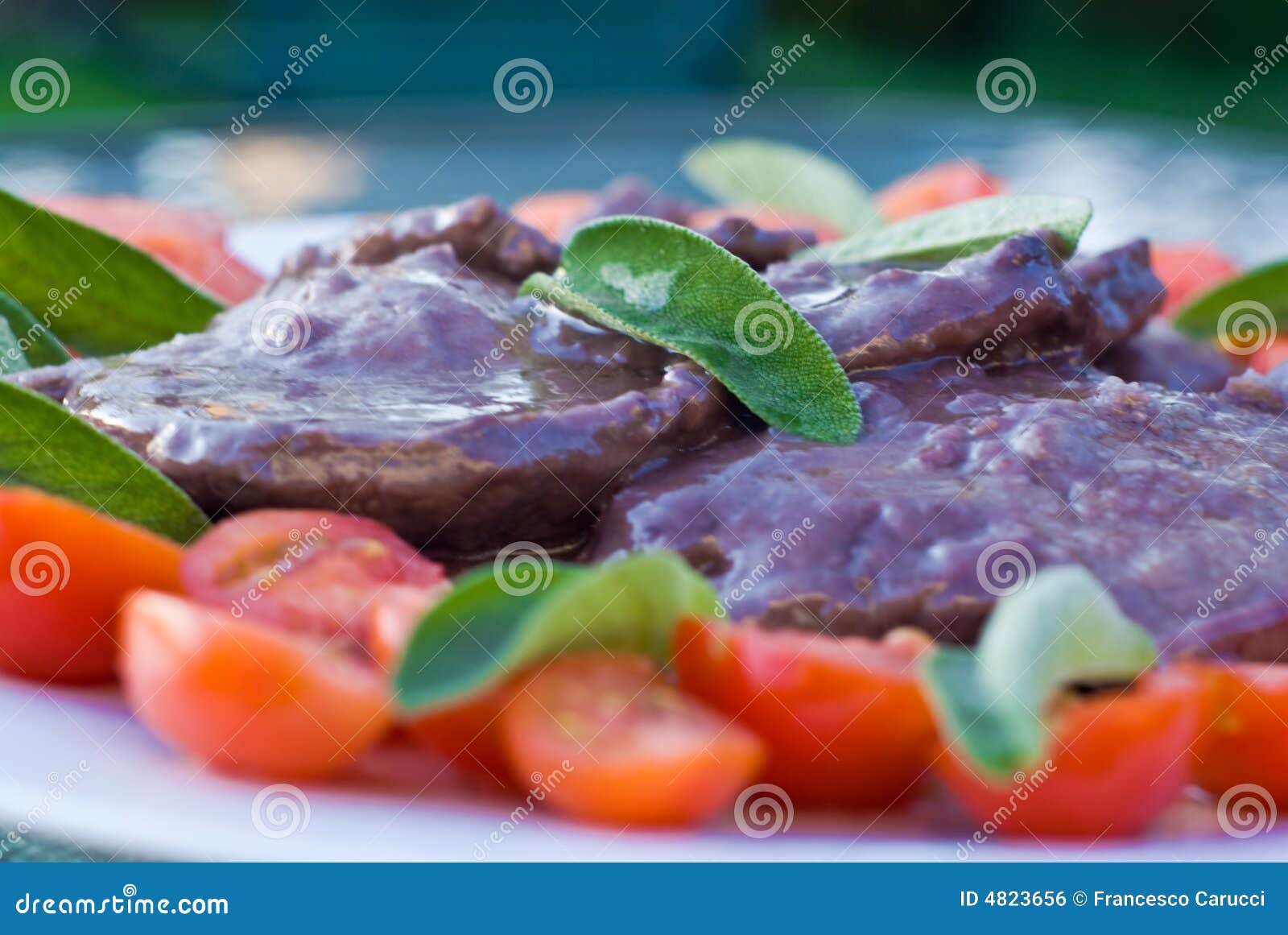Scaloppine stock photo. Image of meal, italian, sauce - 4823656