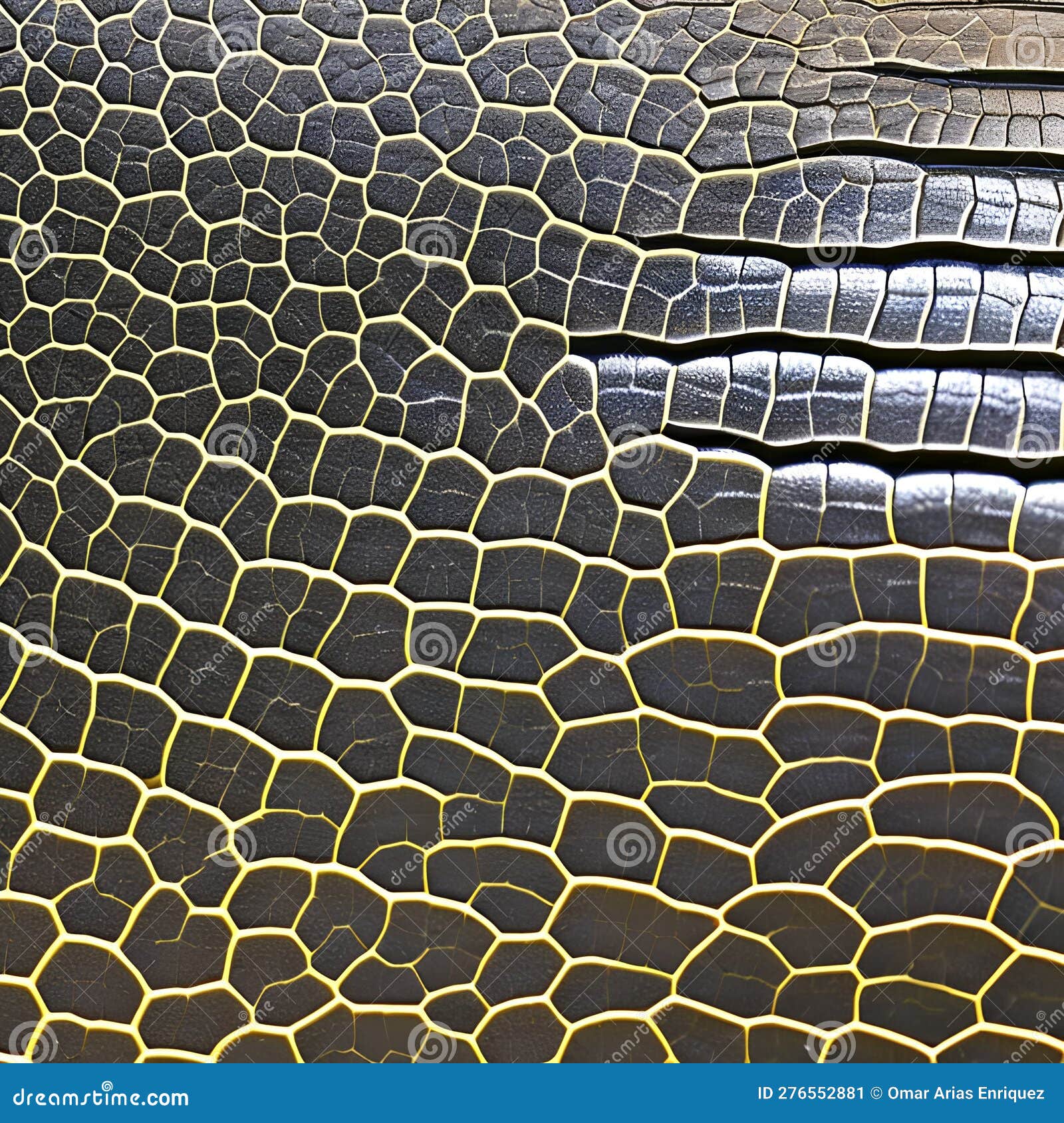 A Scaly and Bumpy Texture with Alligator Skin and Reptile Scales2 ...