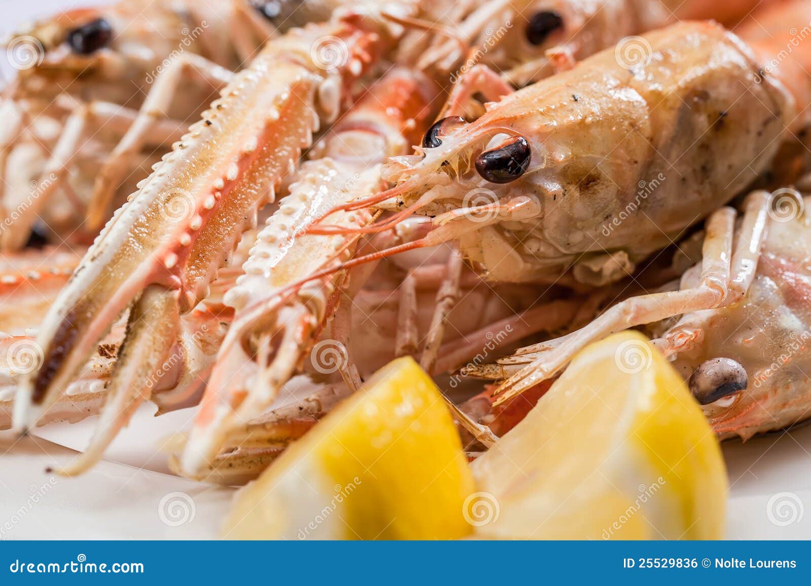 Scampi stock photo. Image of food, delicious, cooking - 25529836