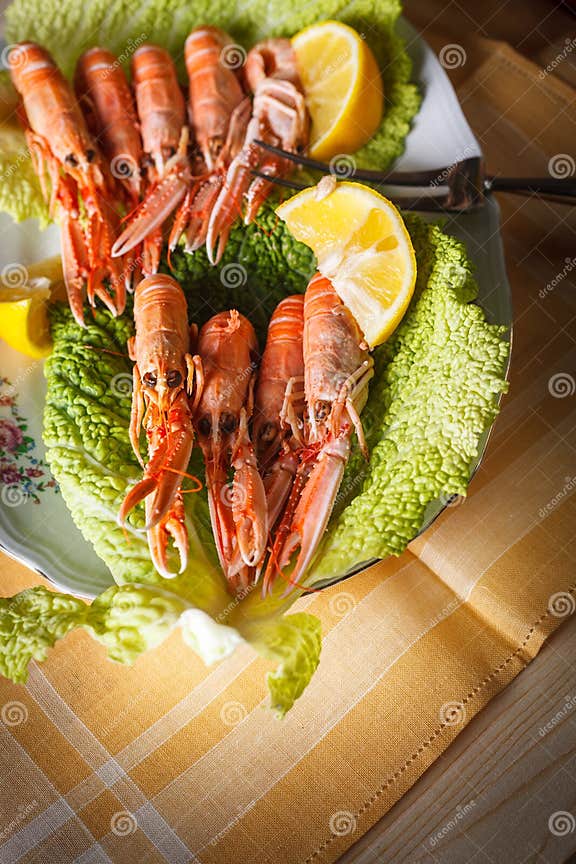 Scampi stock image. Image of appetizer, herb, green, closeup - 27124041