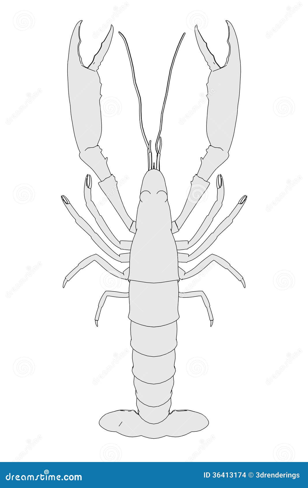 Scampi stock illustration. Illustration of handdraw, drawing - 36413174