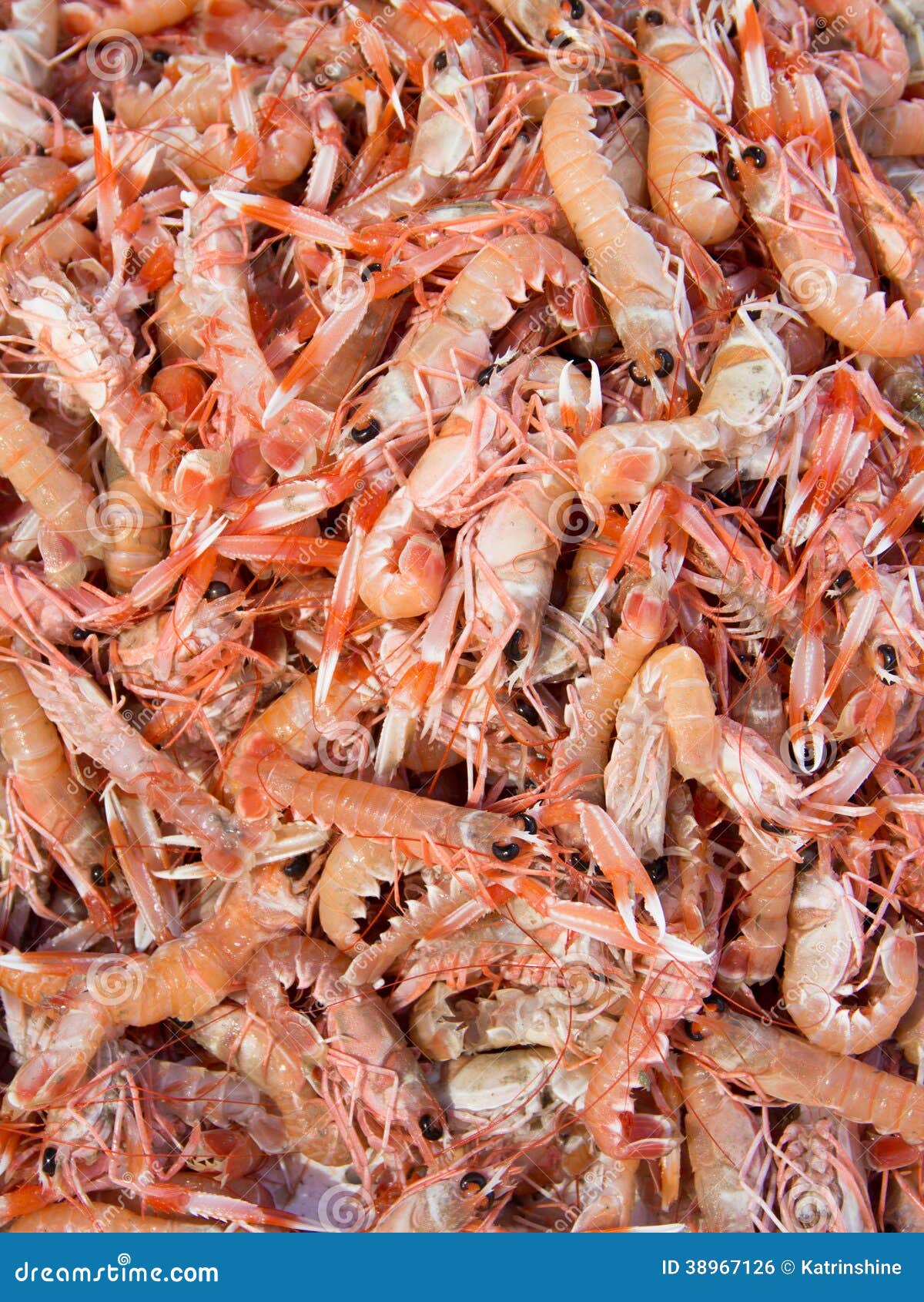 Scampi stock photo. Image of market, diet, seashell, closeup - 38967126