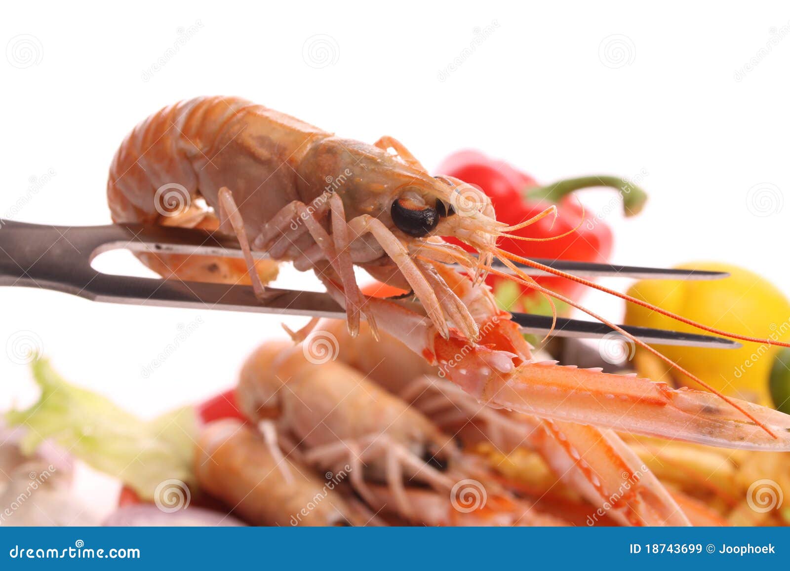 Scampi preparado imagen de archivo. Imagen de fresco - 18743699