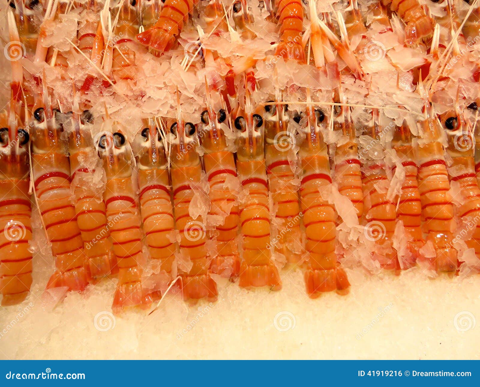 Scampi stock photo. Image of seafood, australia, cusine - 41919216