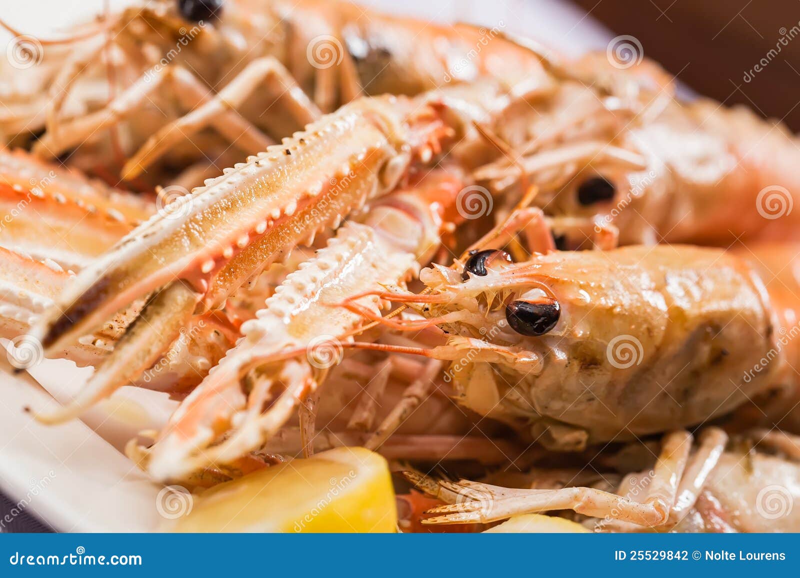 Scampies and prawns. stock photo. Image of restaurant - 25529842