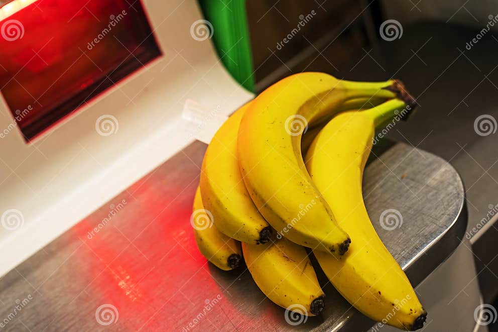 Scan the Barcode of Bananas at the Self-service Stock Photo - Image of ...