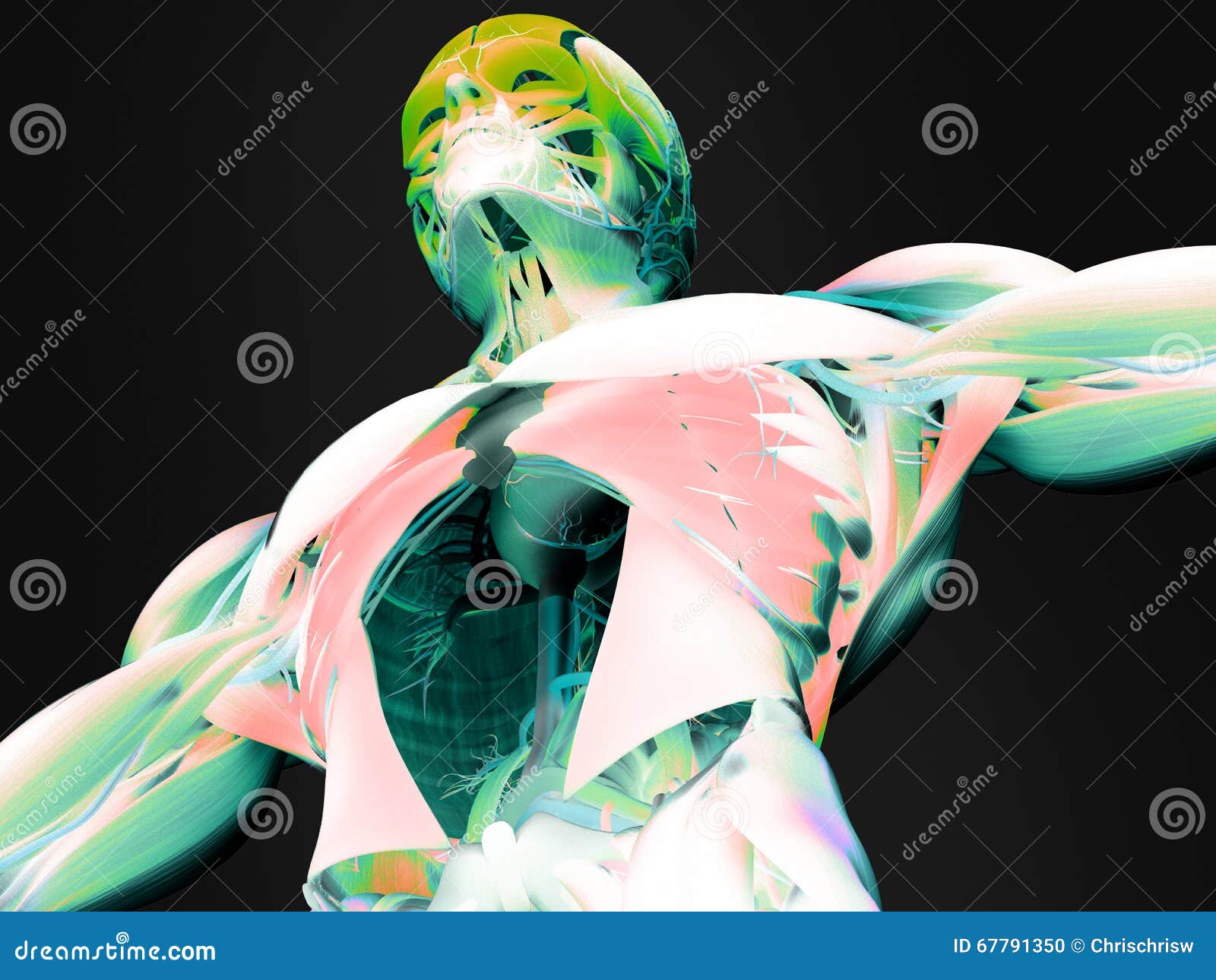 CT Scan Of The Chest With 3D Reconstruction. Stock Photography ...