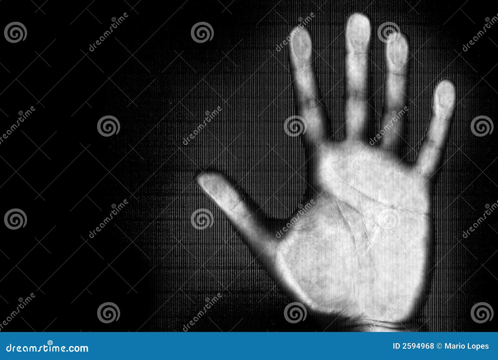 Scan of human hand stock photo. Image of firewall, palm - 2594968