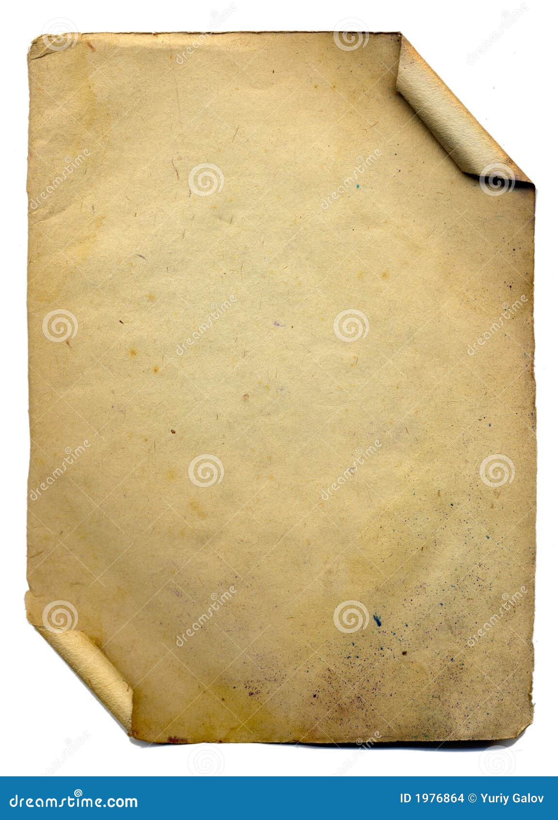 Scan of Old Paper on White Background Stock Photo - Image of parchment ...