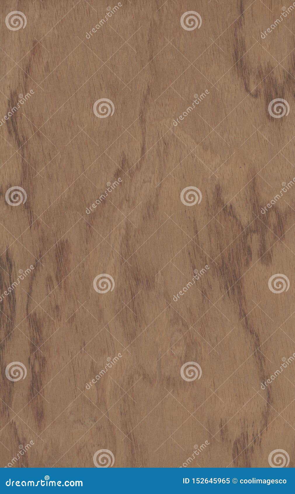 Scan of a Wood Veneer Rose Background Stock Image - Image of paper ...