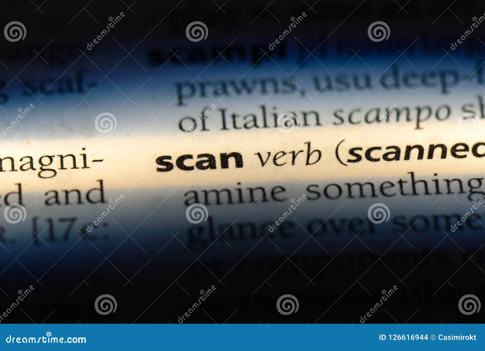 Scan stock photo. Image of isolated, dictionary, book - 126616944