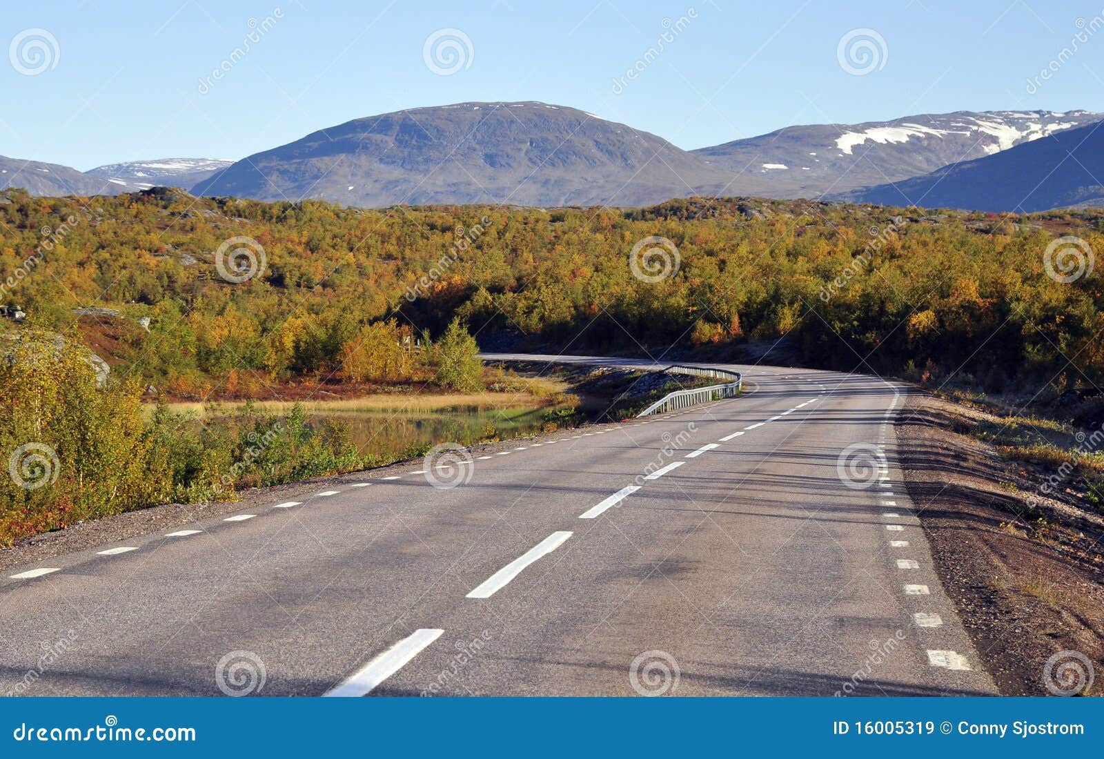 Scandinavia road in autumn stock image. Image of rural - 16005319