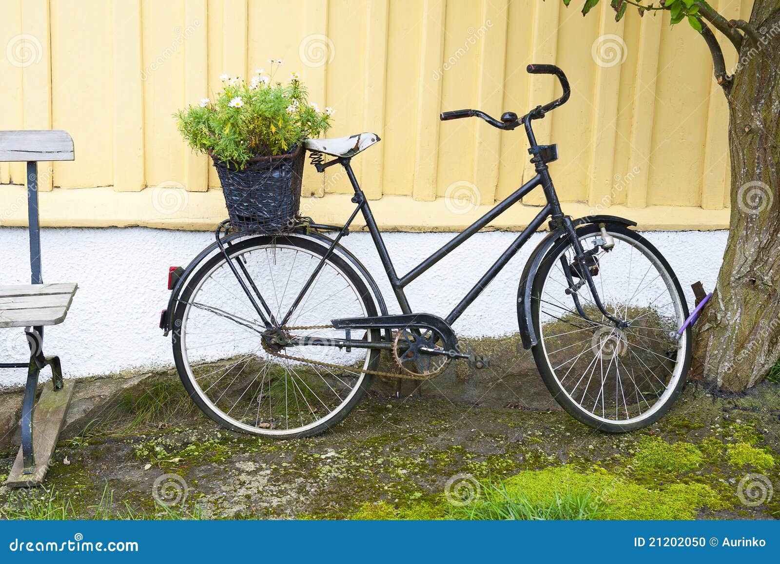 Scandinavian bicycle stock photo. Image of bicycle, healthy - 21202050