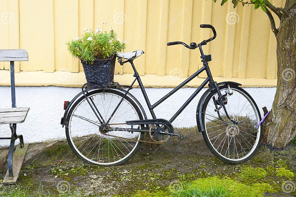 Scandinavian bicycle stock photo. Image of bicycle, healthy - 21202050