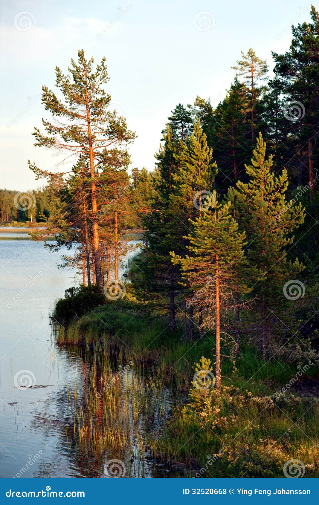 Scandinavian river stock photo. Image of sunset, scandinavian - 32520668