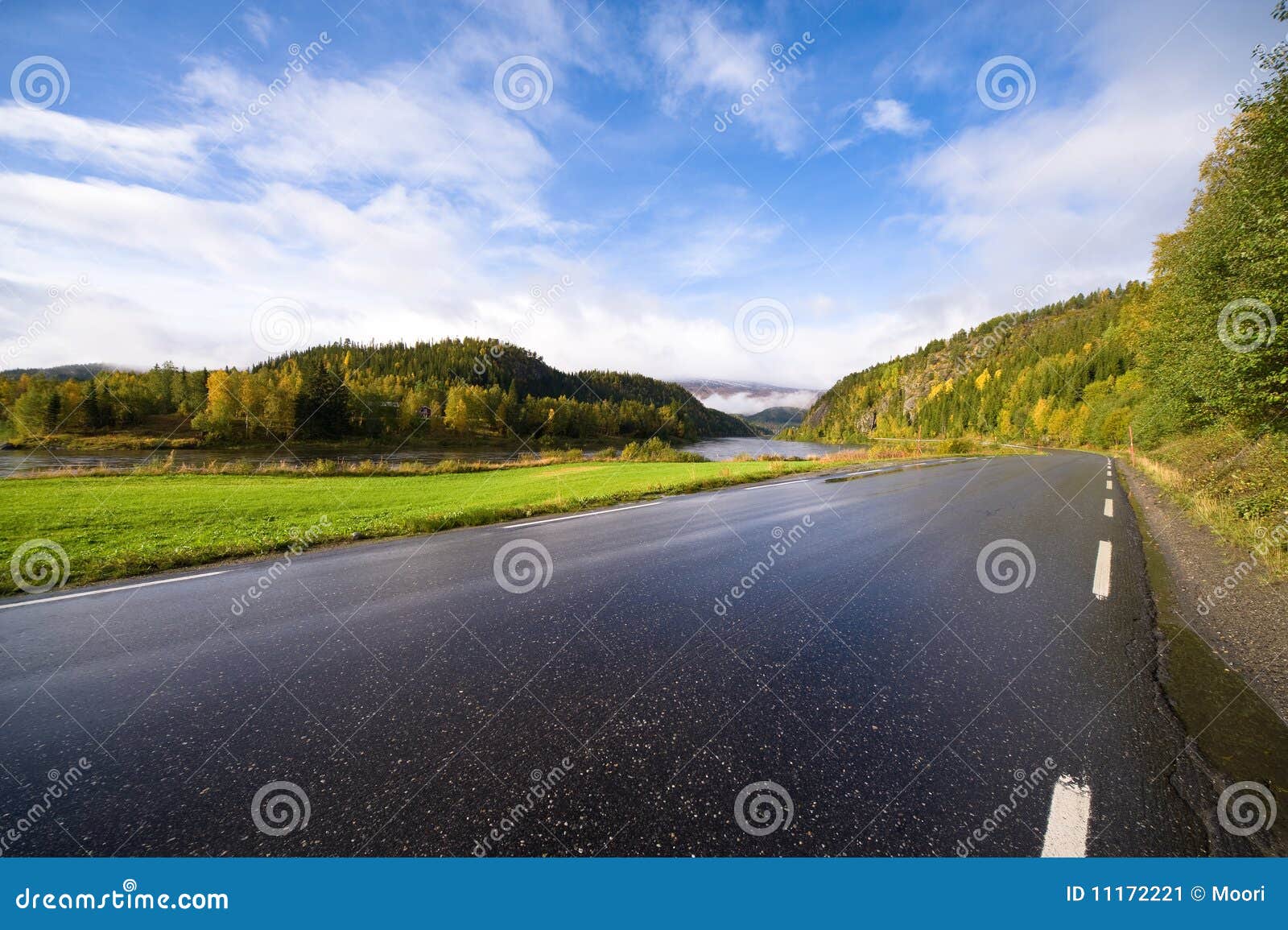 Scandinavian road stock image. Image of atmosphere, nature - 11172221