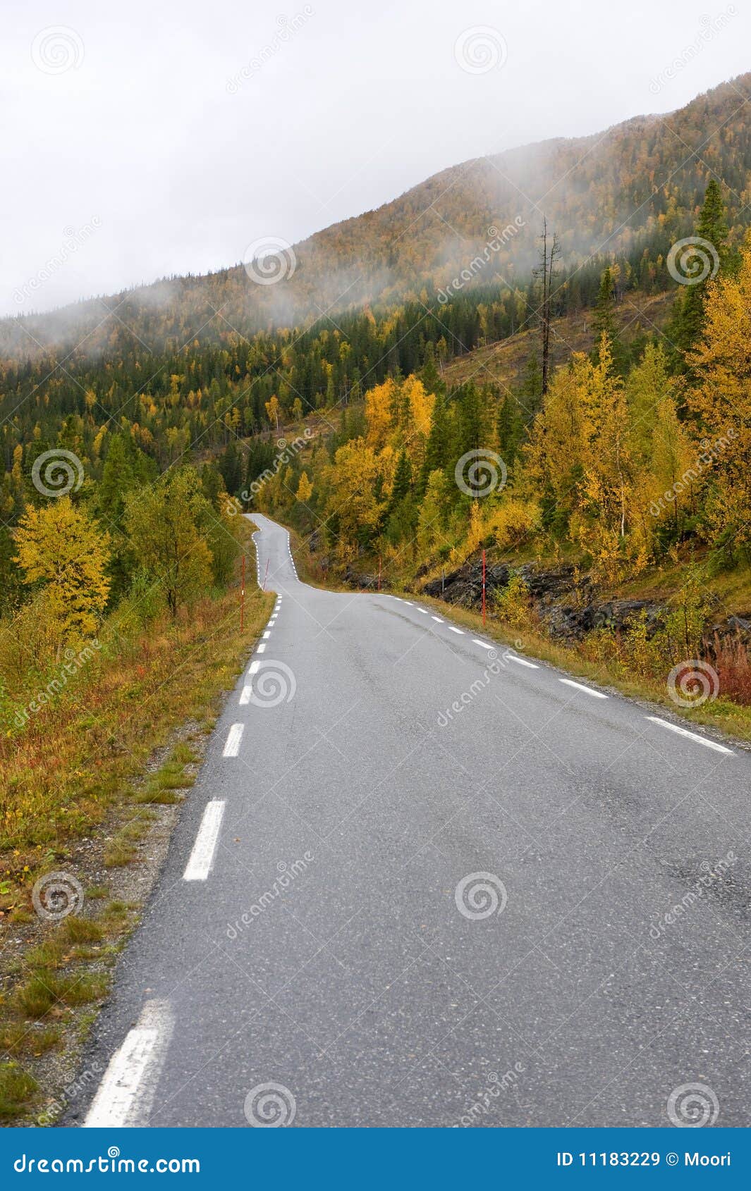 Scandinavian road stock image. Image of europe, nordic - 11183229