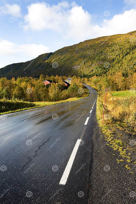 Scandinavian road stock photo. Image of lofoten, natural - 11286234