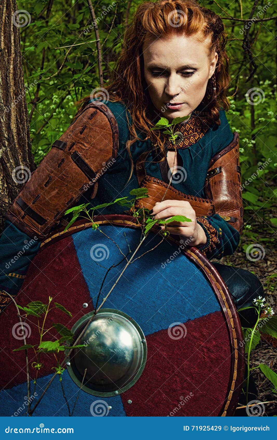 Scandinavian Woman with Shield Stock Image - Image of legend, european ...