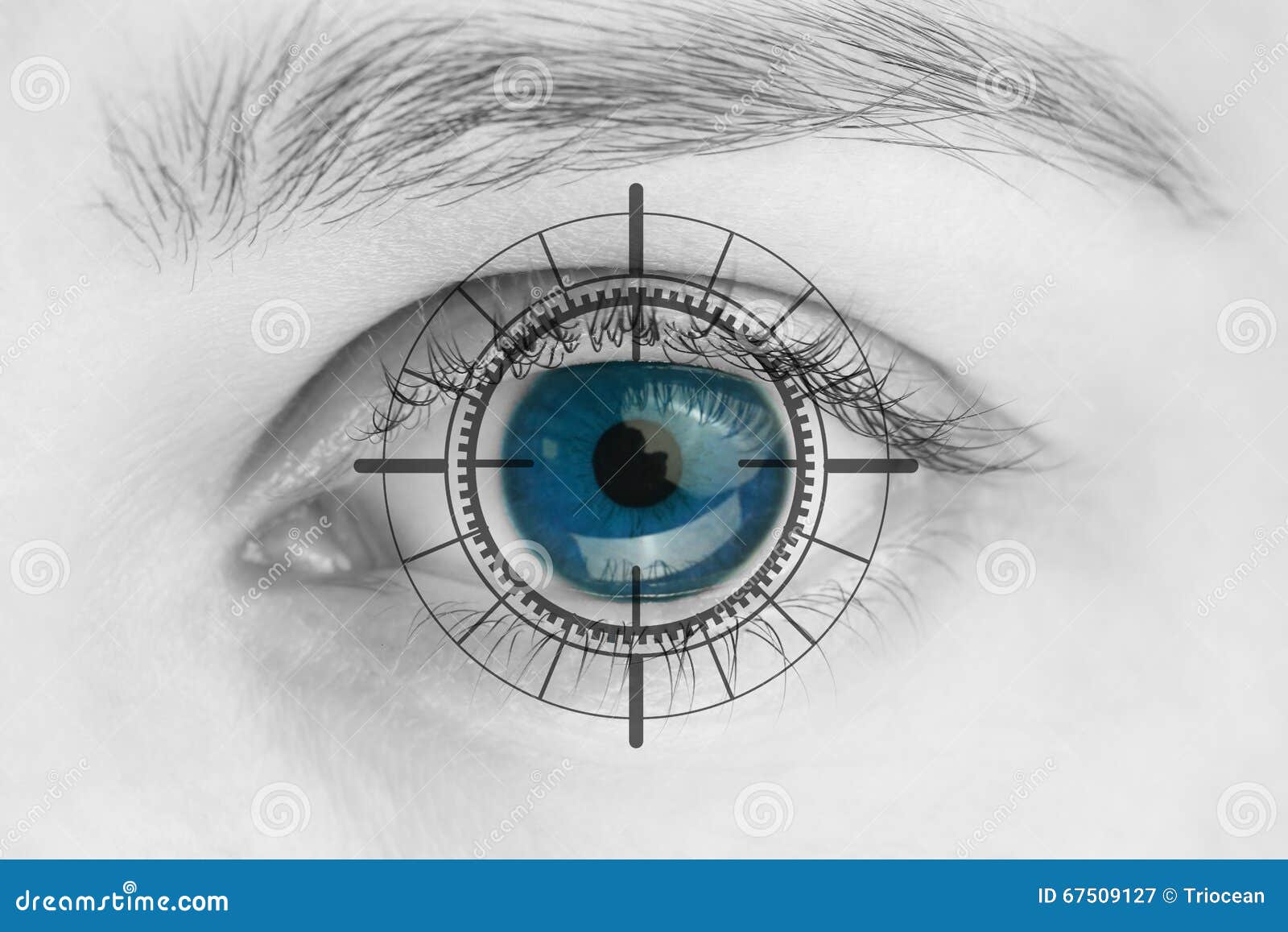 Scanner On Blue Human Eye Stock Image | CartoonDealer.com #67509127