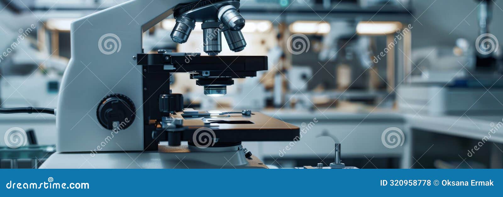 Scanning Electron Microscope Samples On Specimen Mounts, Tweezers And A ...