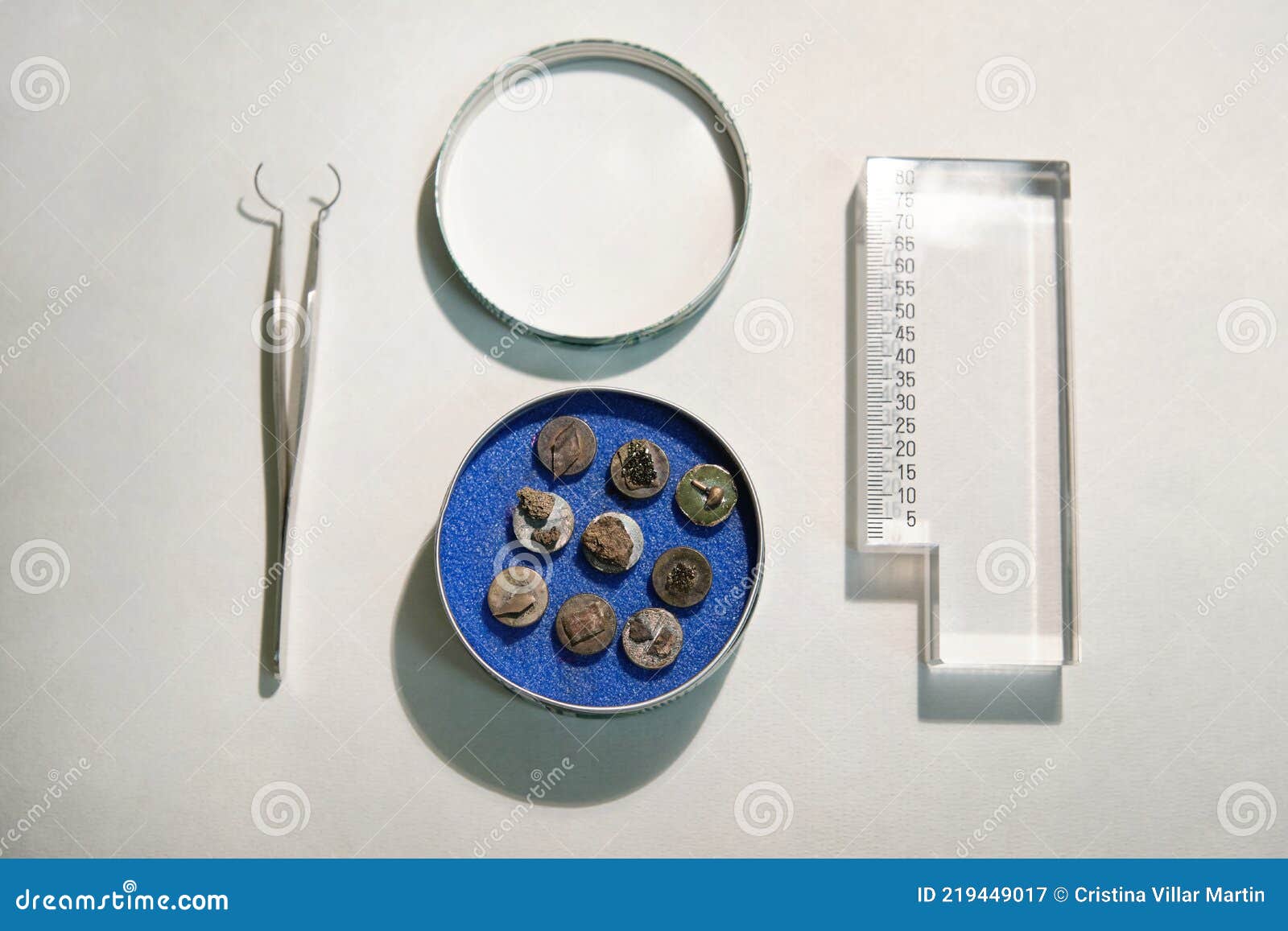Scanning Electron Microscope Samples on Specimen Mounts, Tweezers and a ...
