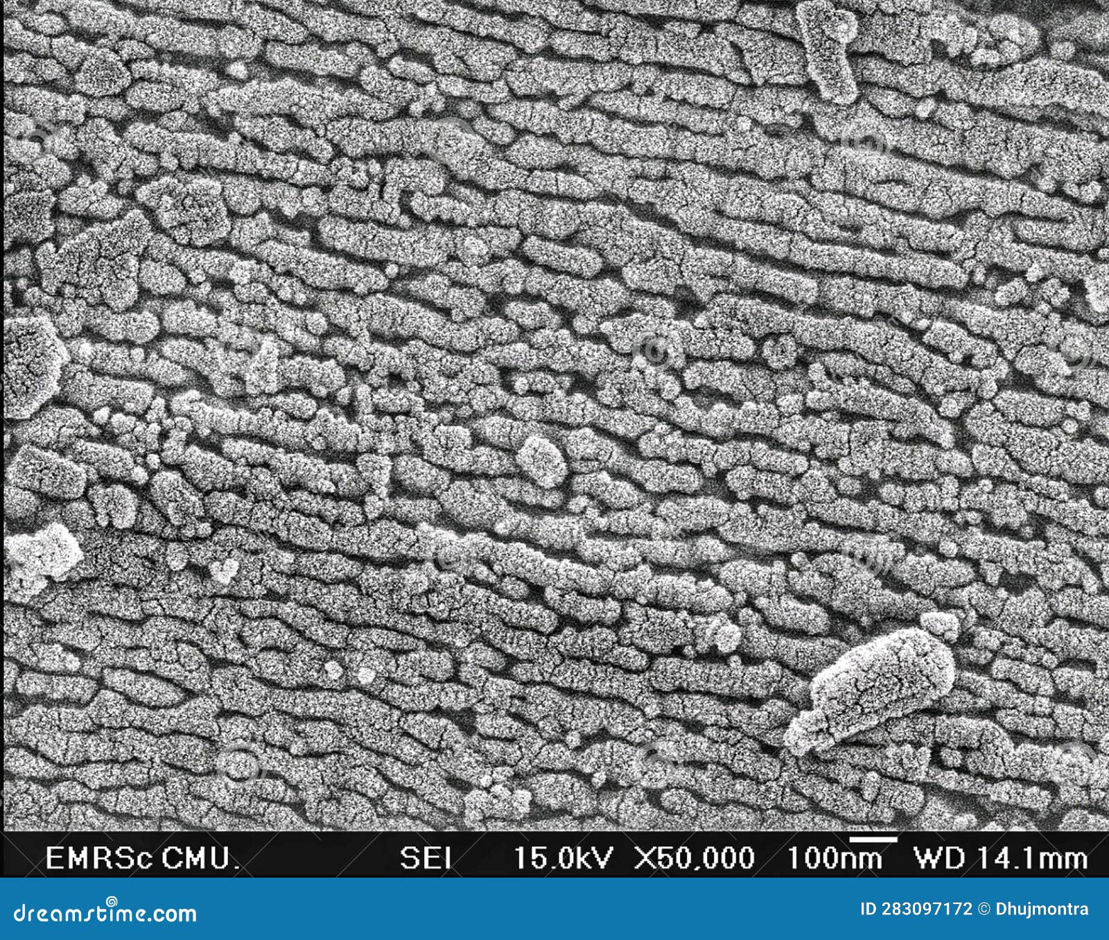 Scanning Electron Microscope Show SEM Image Of The Filter Surface, The ...