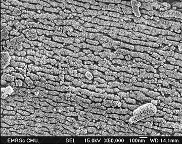 Scanning Electron Microscope Show SEM Image of the Filter Surface, the ...