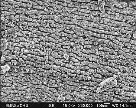 Scanning Electron Microscope Show SEM Image of the Filter Surface, the ...