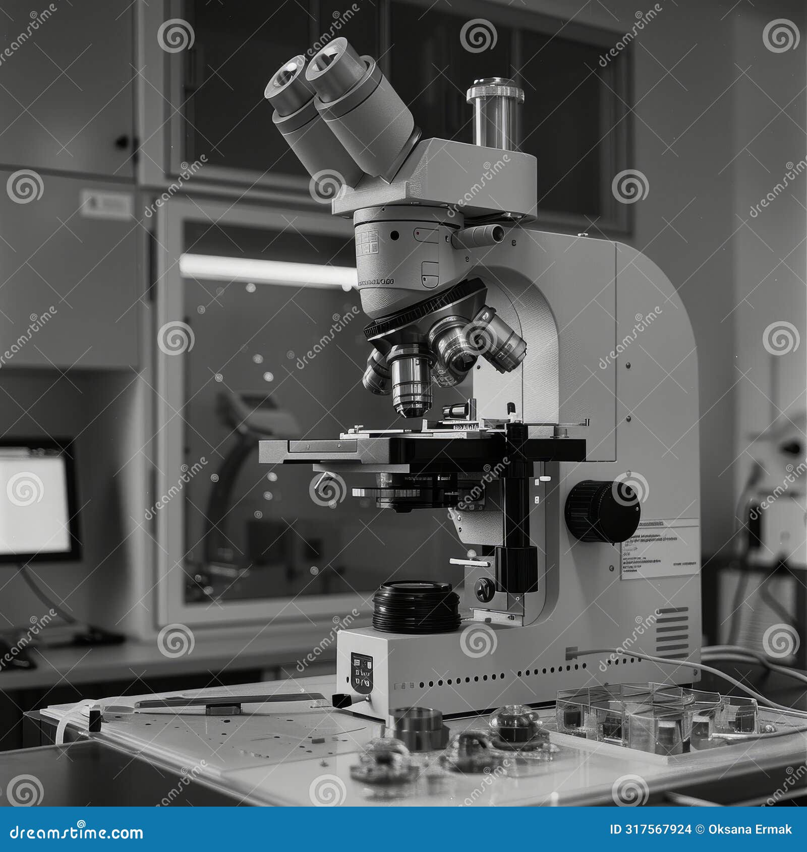 Scanning Transmission Electron Microscope, STEM for Diagnostics Nanomaterials and Nanostructures ...