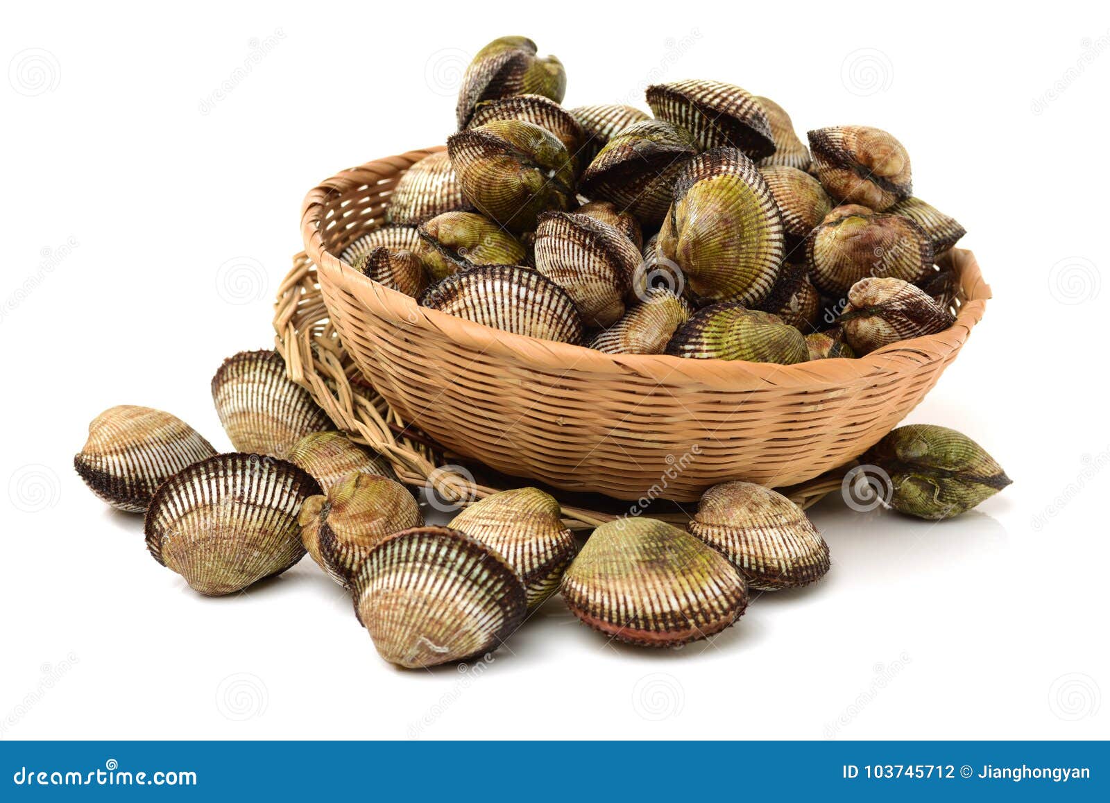 Scapharca subcrenata stock photo. Image of flavor, sale - 103745712