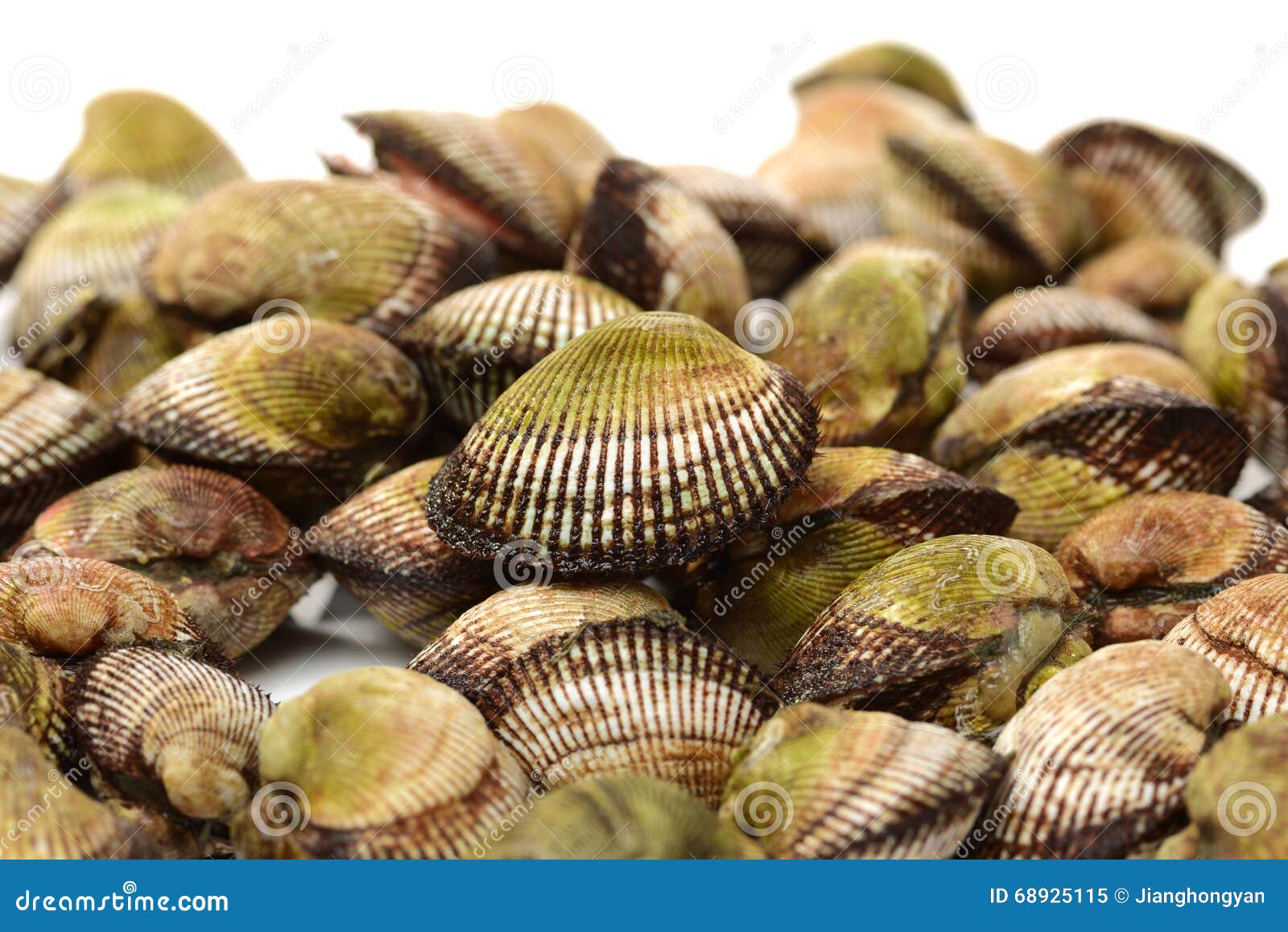 Scapharca subcrenata stock image. Image of tasty, healthy - 68925115