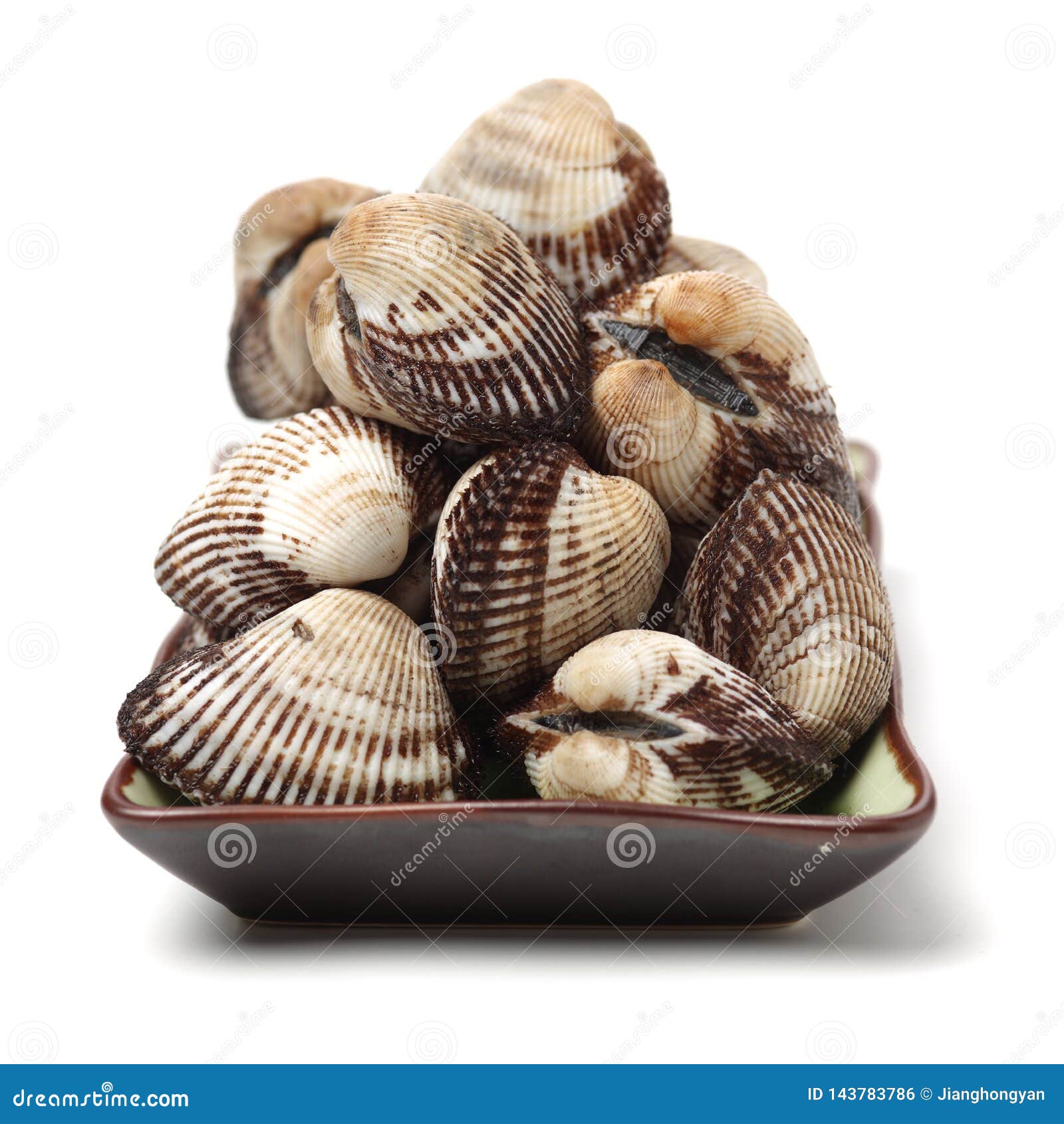 Scapharca subcrenata stock photo. Image of salty, scapharca - 143783786
