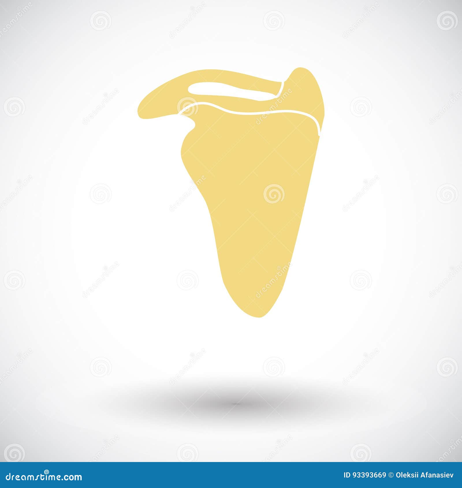 Scapula stock vector. Illustration of white, body, clavicle - 93393669