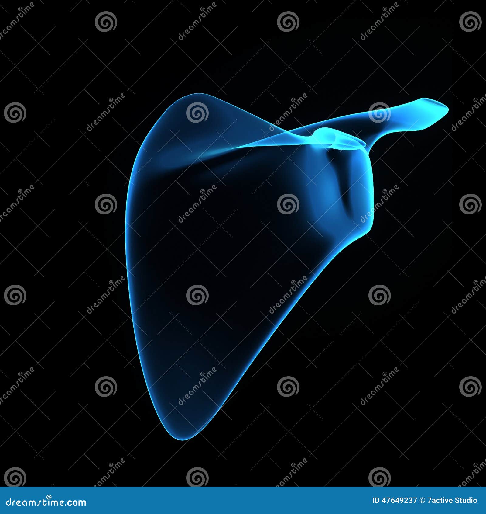 Spine Movements With Flexion, Extension And Rotation Poses Outline ...