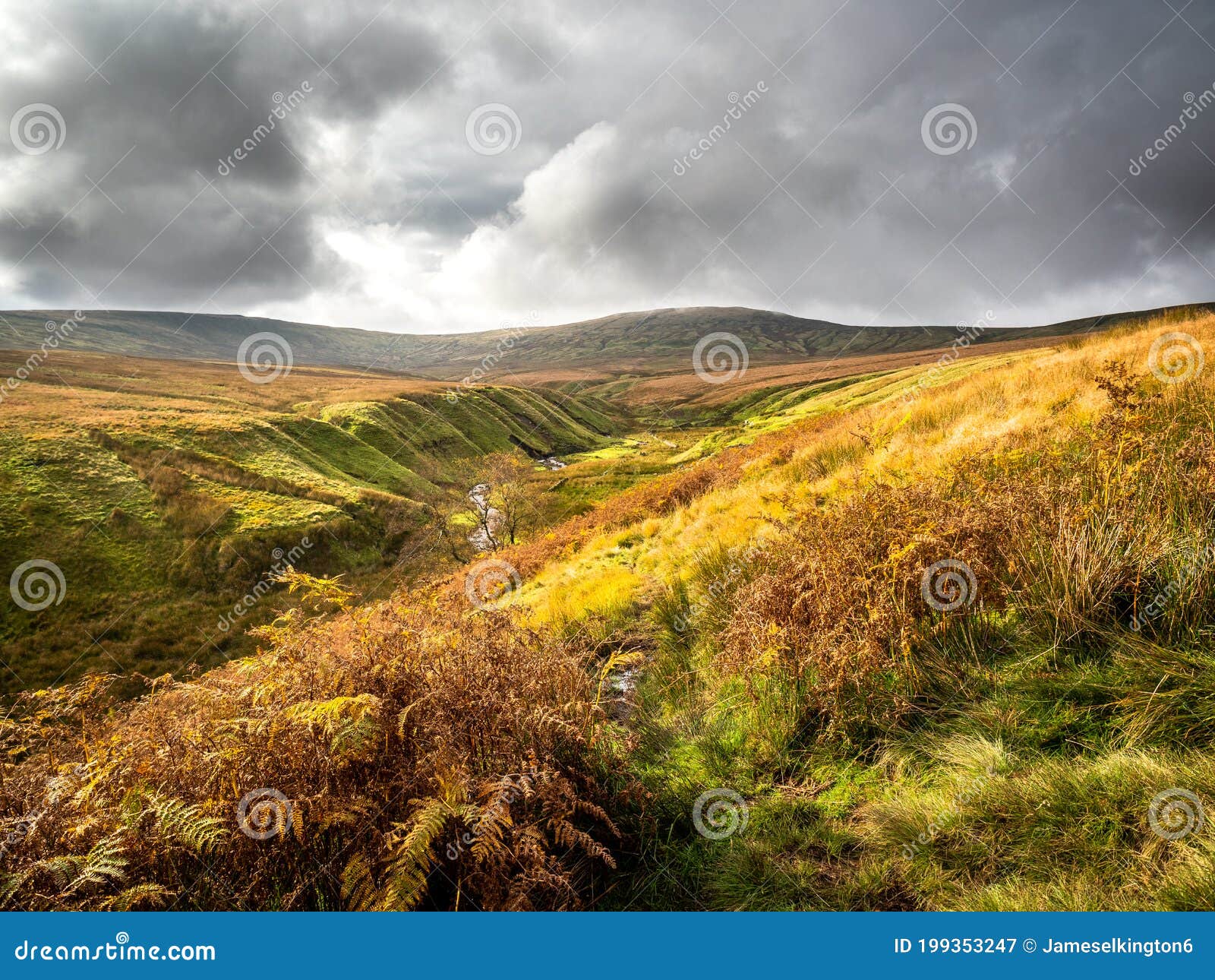 Open Moorland with a Stream Looking Towards Little Whernside Stock ...