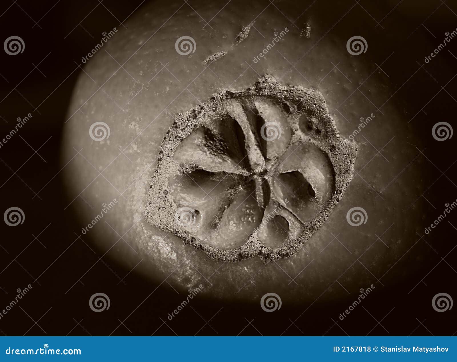 Scar of the planet stock photo. Image of asteroid, benefit - 2167818