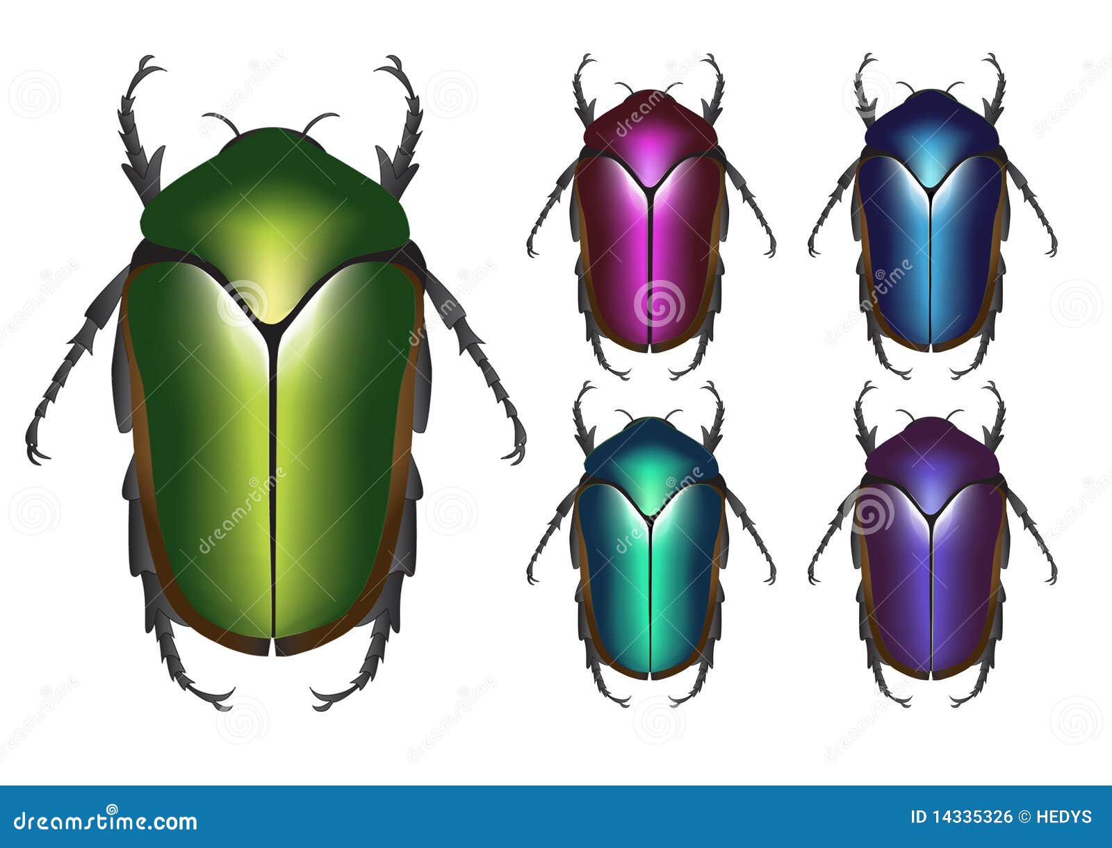 Scarab stock vector. Illustration of egypt, talisman - 14335326