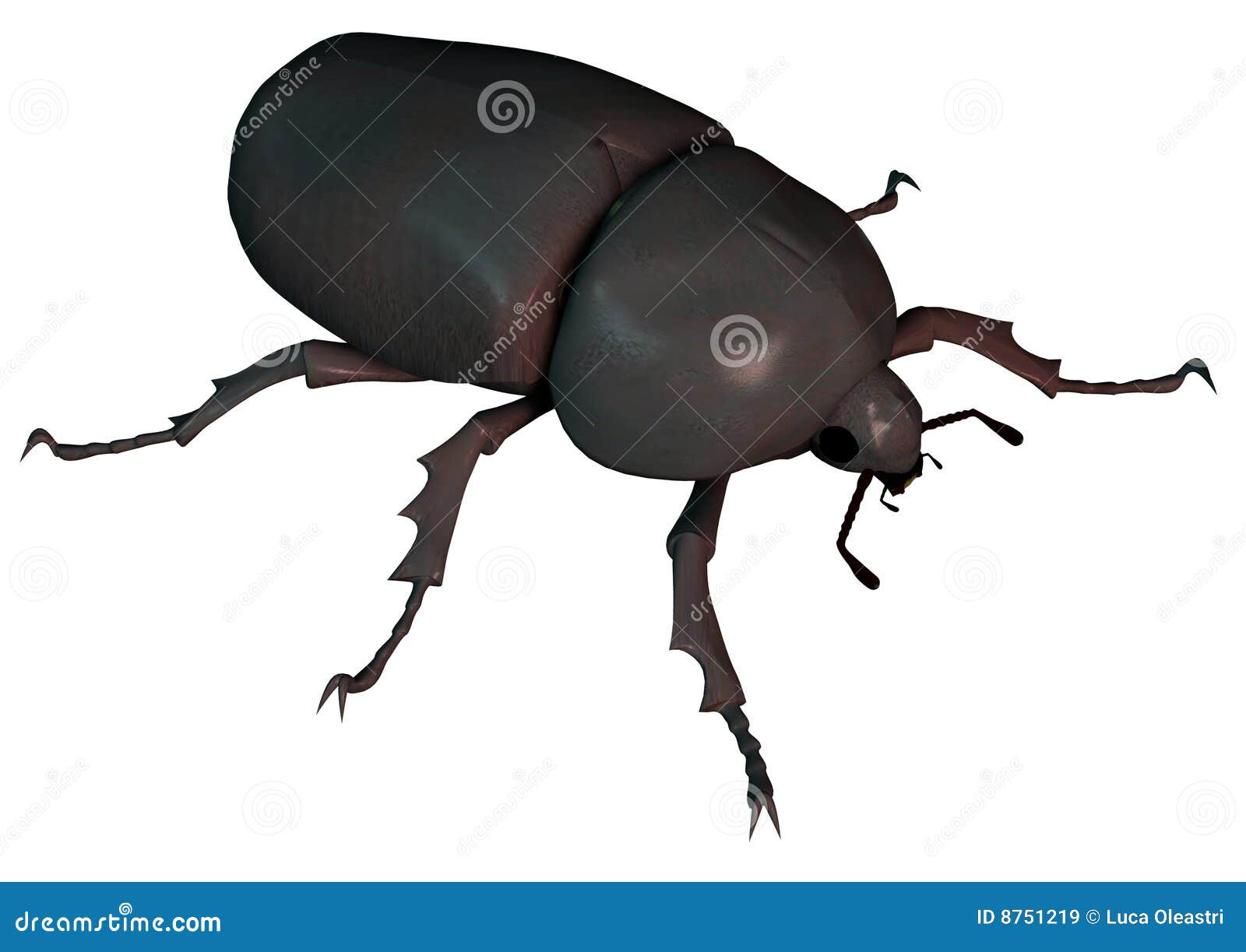 Scarab beetle stock illustration. Illustration of crawling - 8751219
