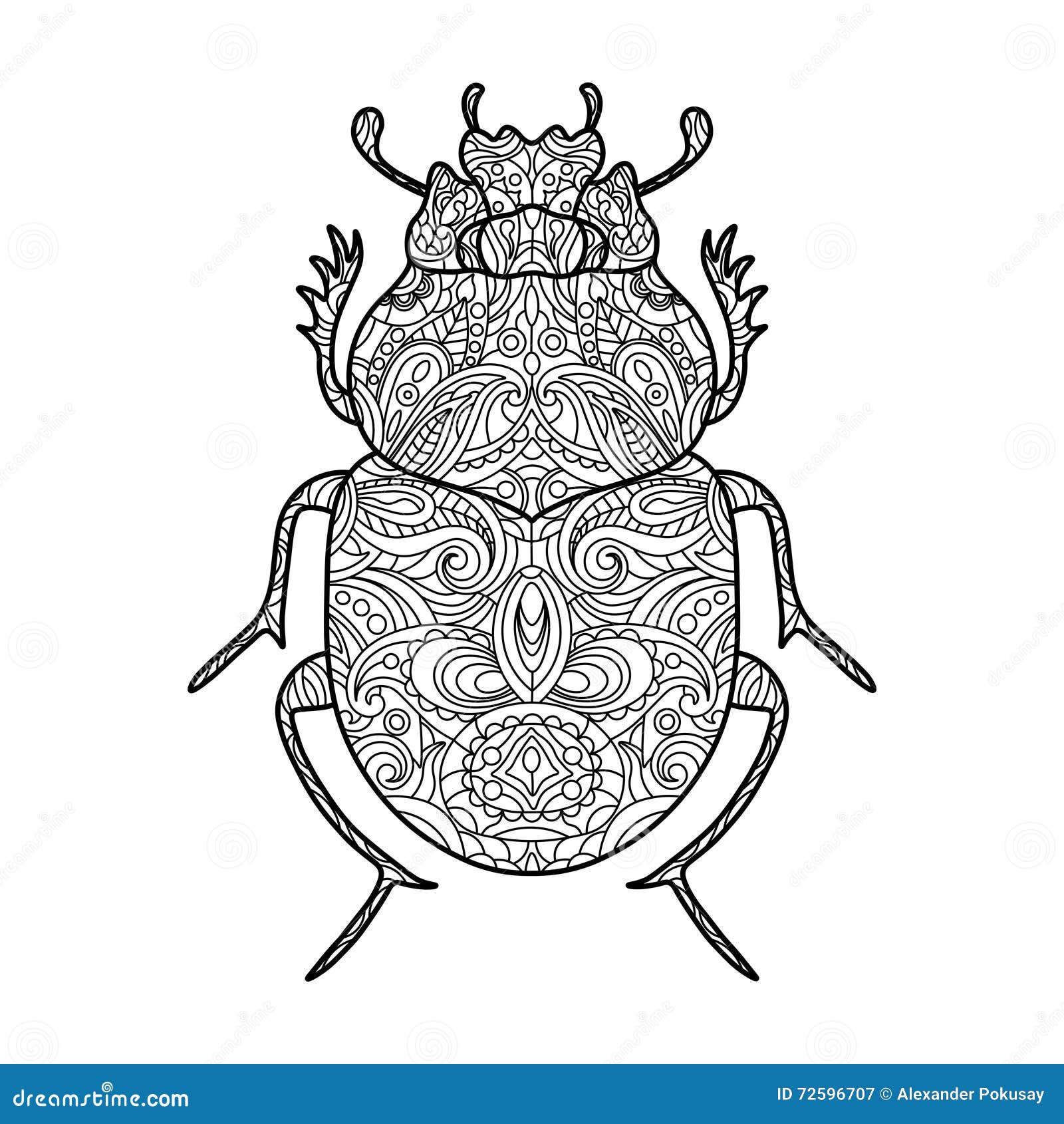 Scarab Beetle Coloring Book for Adults Vector Stock Vector ...