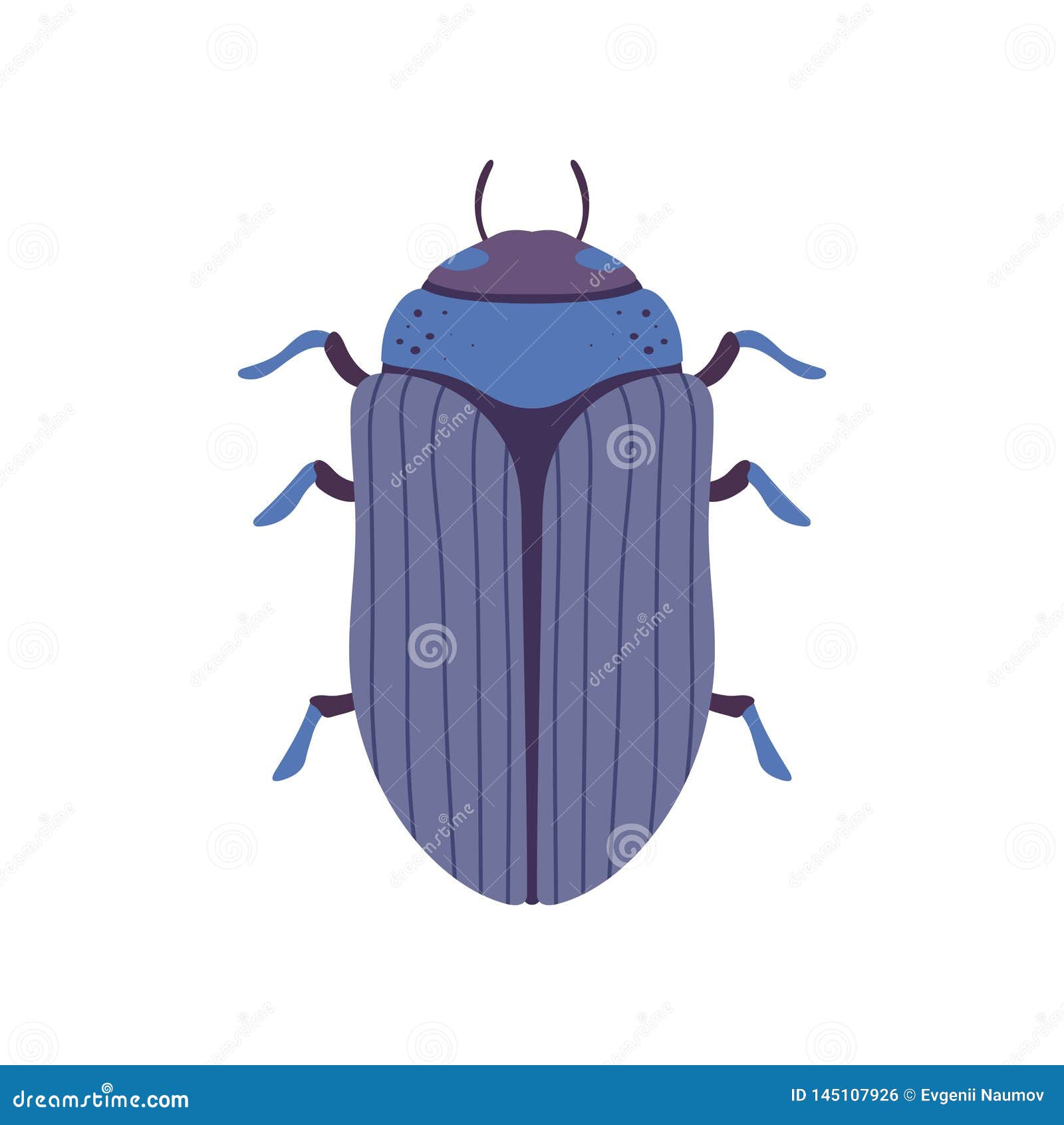 Scarab Beetle Insect, Bug Top View Vector Illustration Stock Vector ...