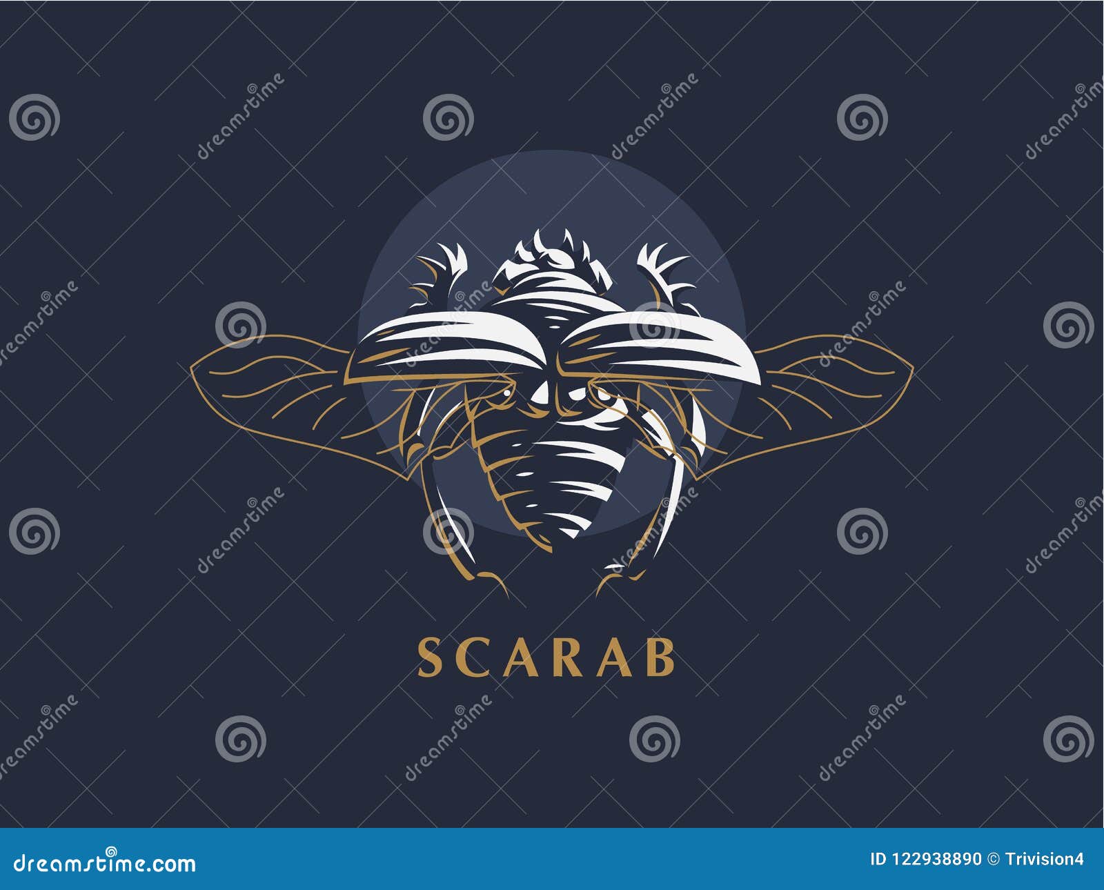 Scarab Beetle with Open Wings. Stock Vector - Illustration of pattern ...