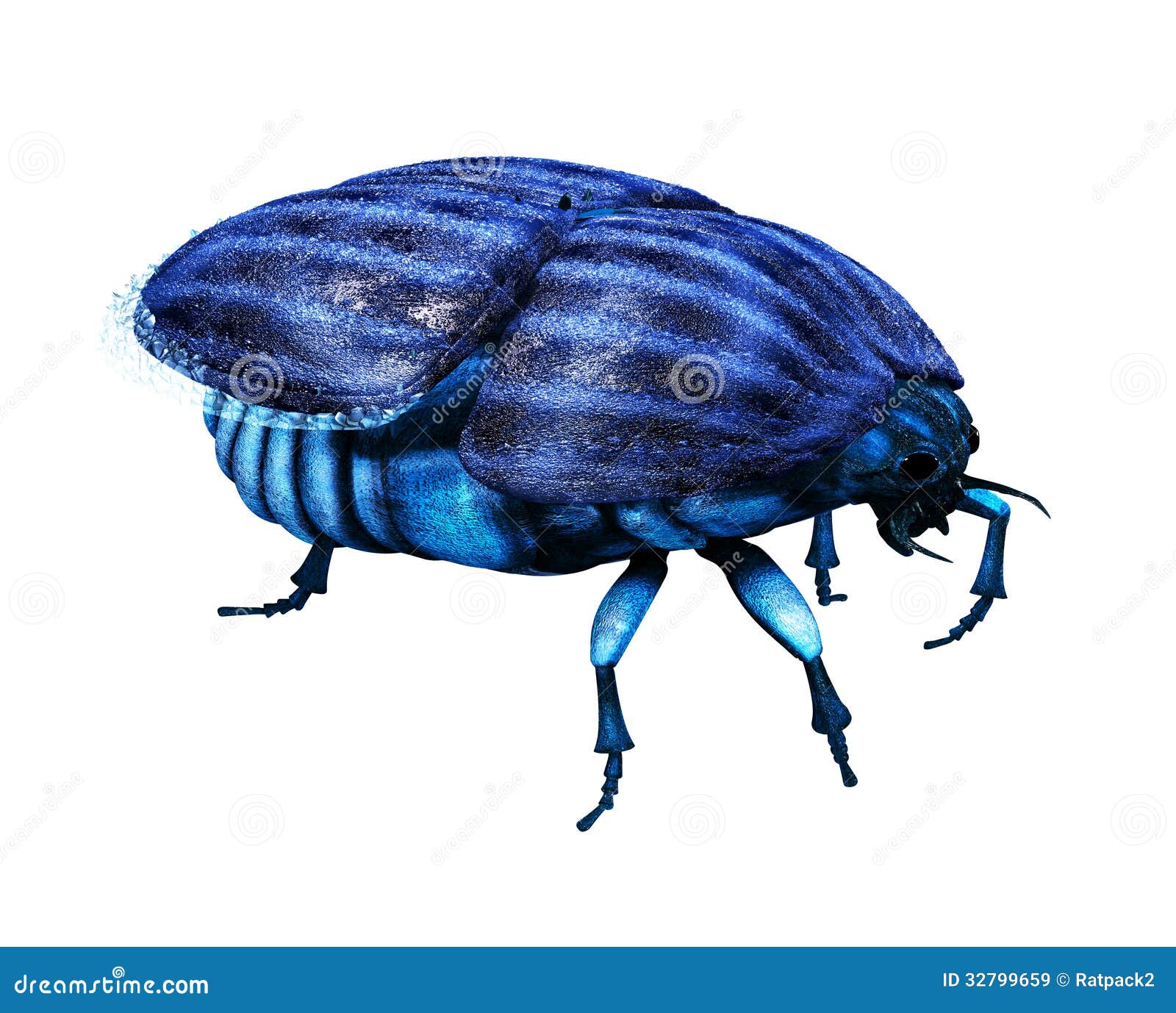 Scarab Bug stock illustration. Illustration of mummy - 32799659